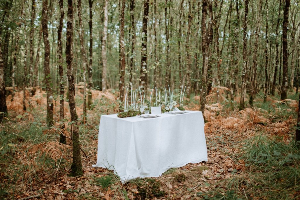 Inspirations pour un mariage végétal au cœur de la forêt – La Sœur de ...